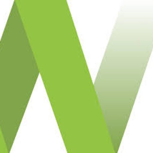 Wyser - the Global Search & Selection player for Senior management